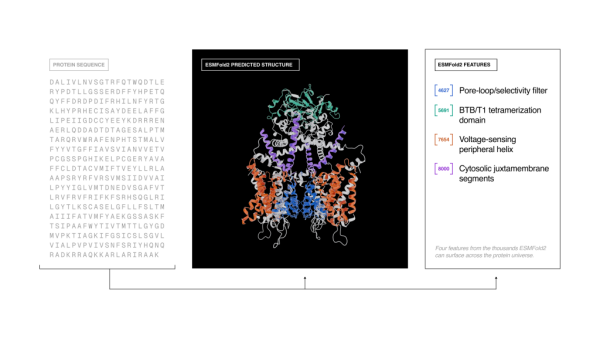 Biohub releases 3 free AI systems for protein prediction and design